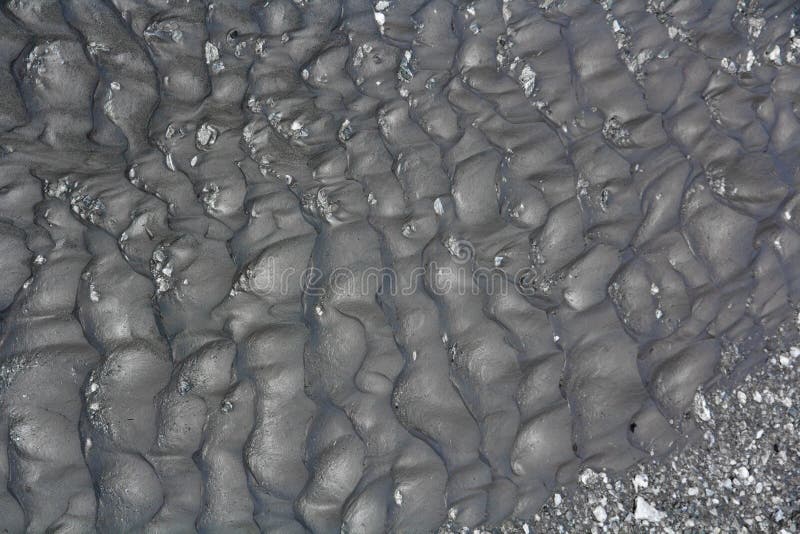 Photographer's Portfolio - Dreamstime