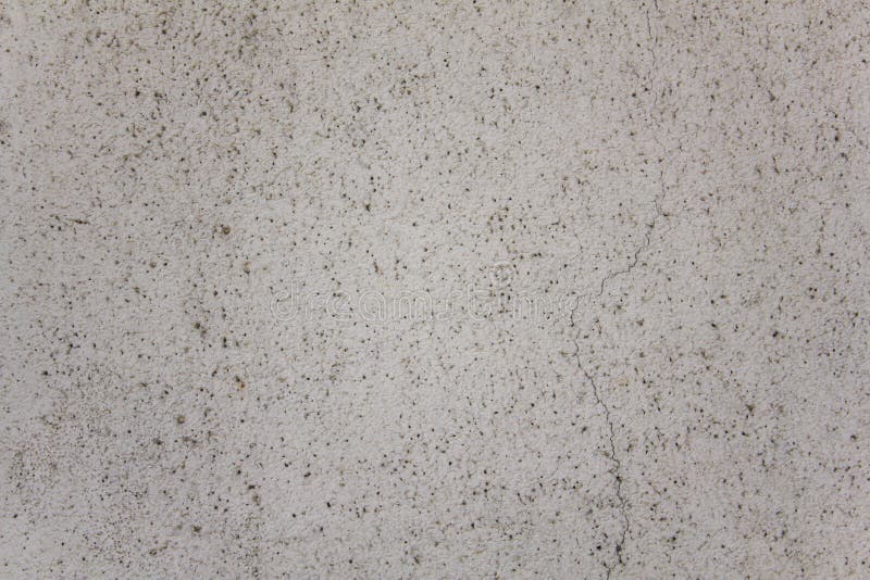 Gray White Granular Surface of the Wall with Black Dots and a Large ...