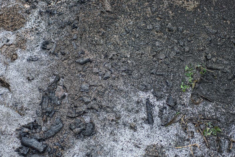 Gray White Texture of Soot and Ash on White Snow Stock Photo - Image of ...