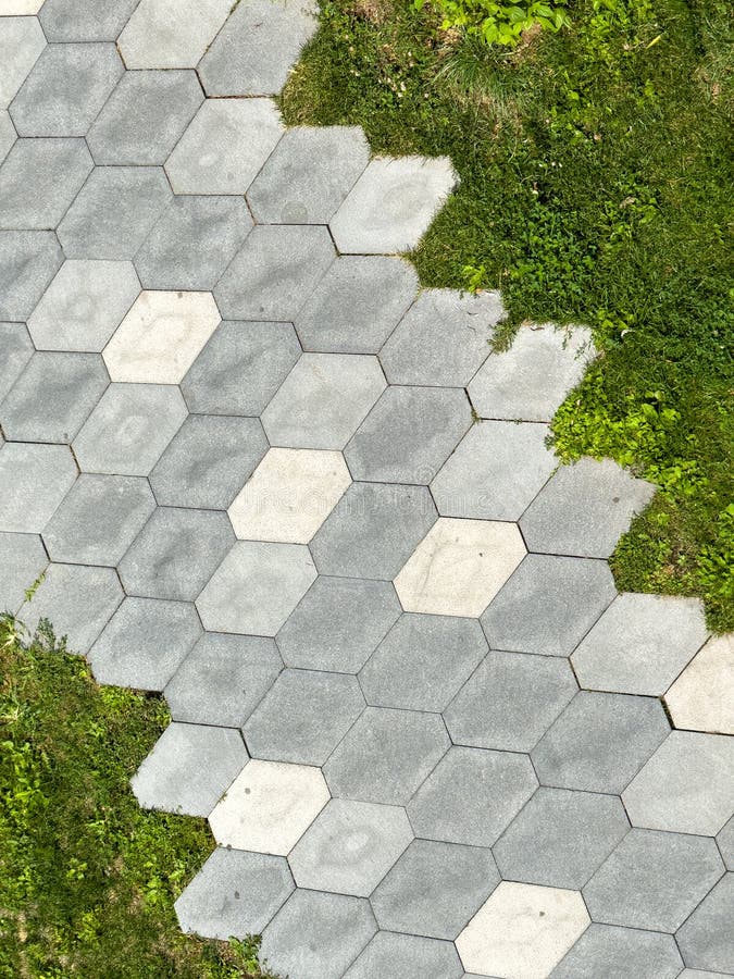 A Gray and White Tile Path with Green Grass Growing Up the Sides Stock ...