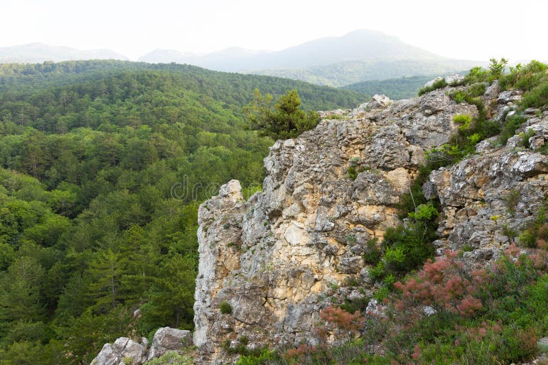 Gray Wild Rocks and Wild Green Forest. View from Above Stock Image ...