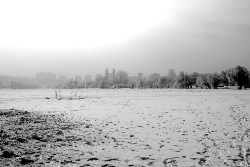 Gray winter stock photo. Image of frost, snow, city, environment - 7412130