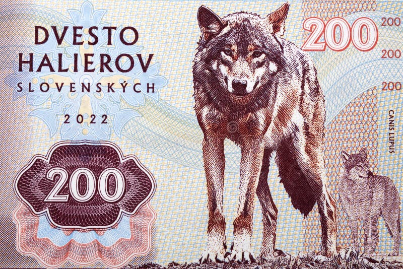 Cash Wolf Stock Photos - Free & Royalty-Free Stock Photos from Dreamstime