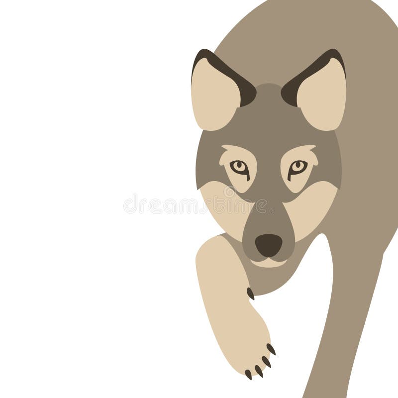 Gray Wolf Face Vector Illustration Flat Style Front Stock Vector ...