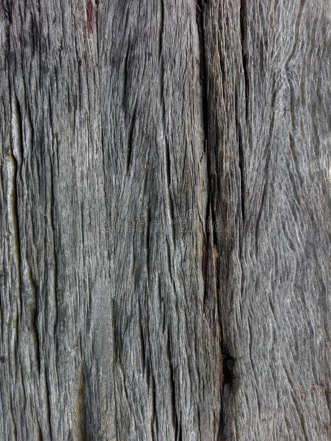 The Gray Wood Texture/ornament Stock Image - Image of tree, gray: 97570623