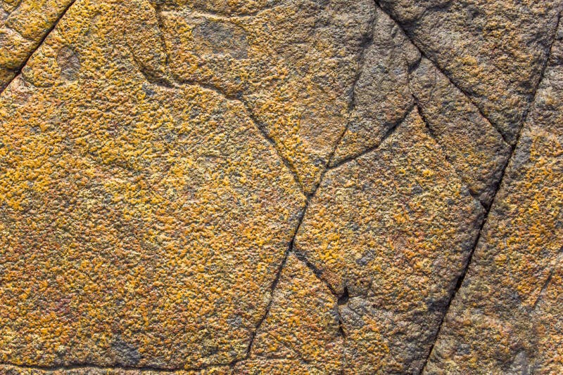 Gray Yellow Brown Stone Rock Surface with Deep Relief and Cracks Close ...