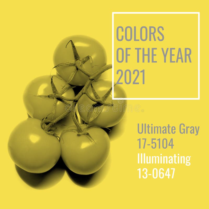 Gray and Yellow Trendy Colors 2021, Tomatoes on Yellow Background ...