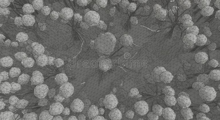 Grayscale Aerial Texture of Dense Circular Pattern Stock Illustration ...