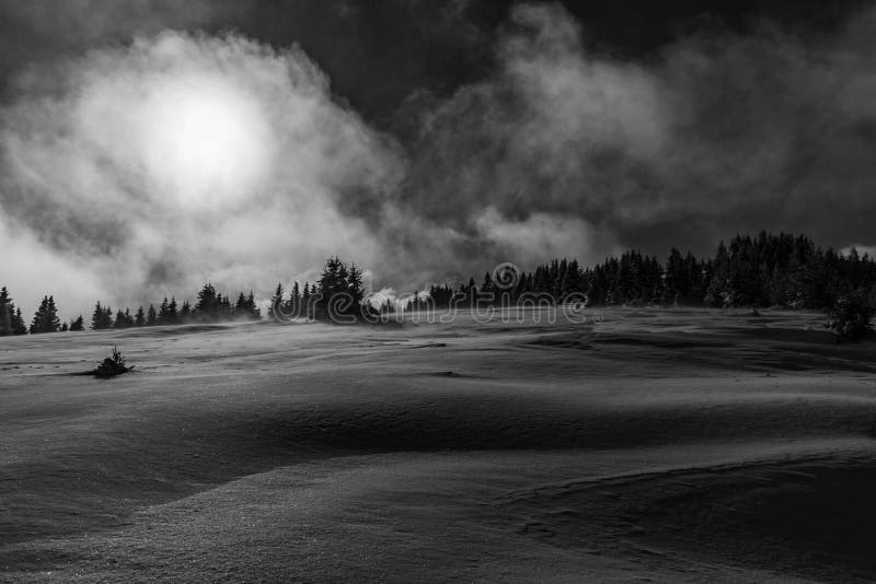 Grayscale of a Big Field with the Dense Mountains in the Background ...