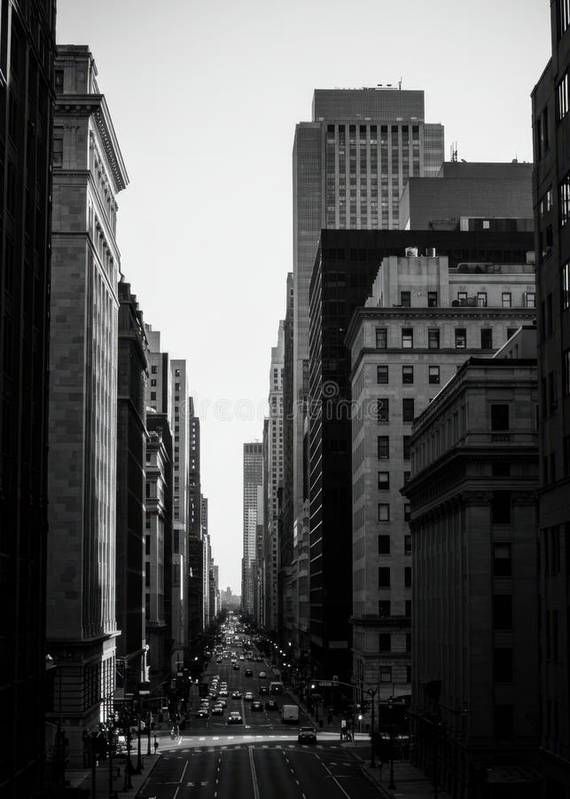 Grayscale City Street with Tall Buildings Stock Illustration ...