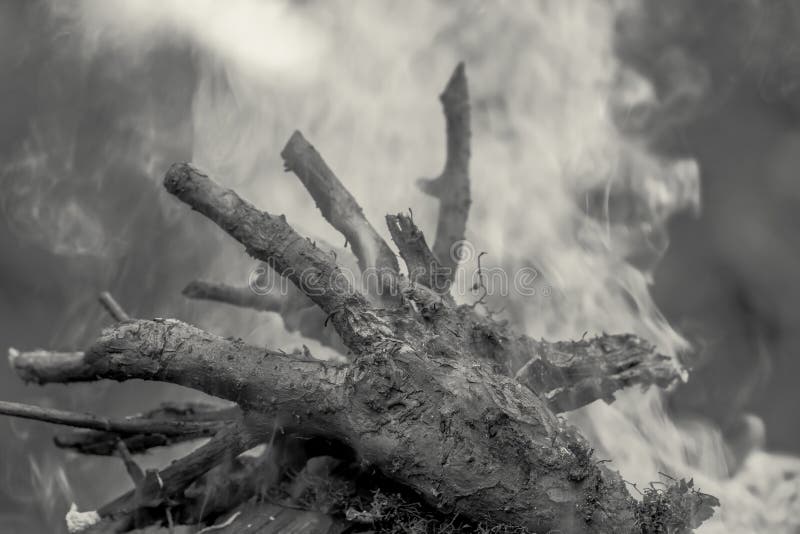 Grayscale Closeup of a Burning Fire Stock Image - Image of ignite ...