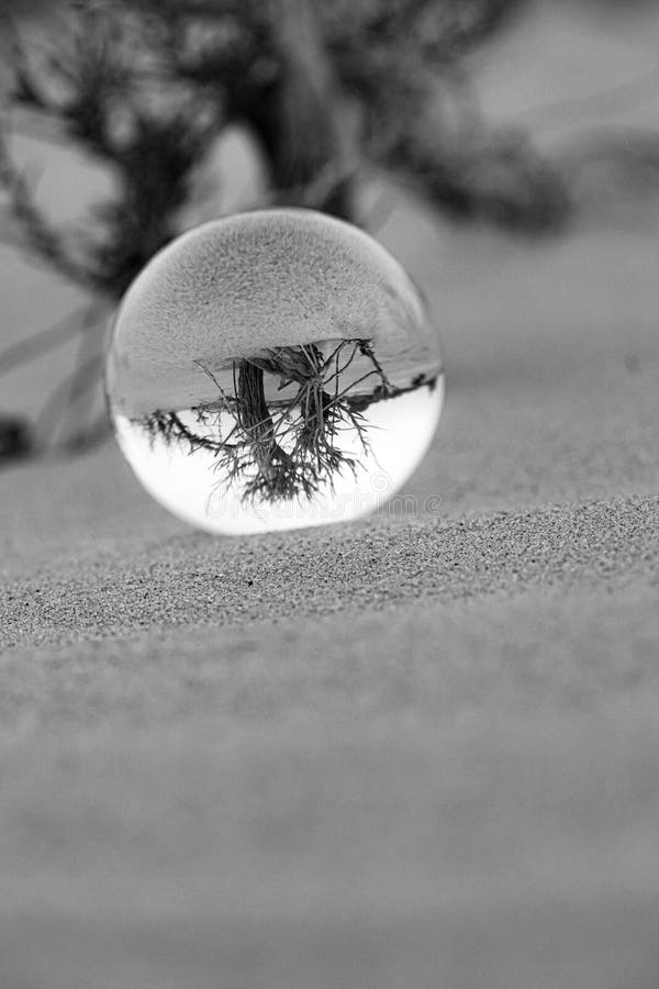 Grayscale of a Glass Ball Resting on Sands with Blurred Trees in ...