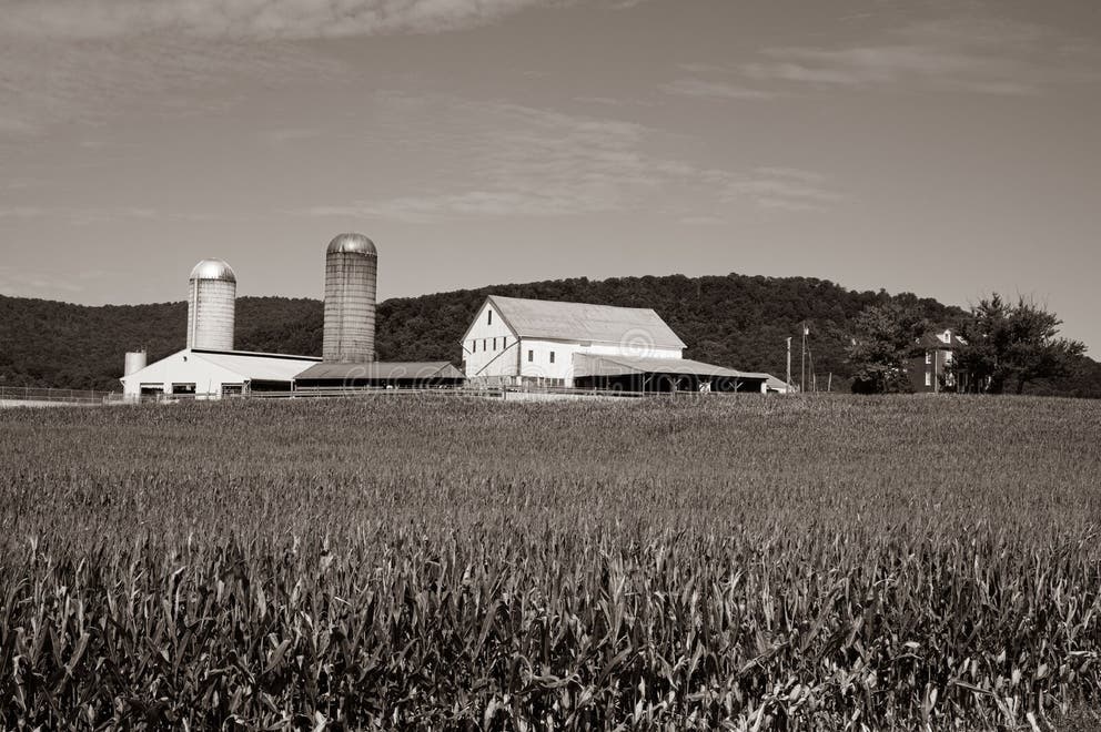 Grayscale of an Old Farm in Clear Spring, Maryland Stock Photo - Image ...