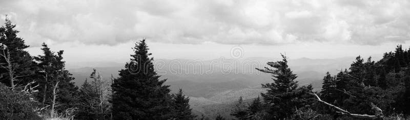 Grayscale Panoramic Shot of a Forest on a Hill Stock Photo - Image of ...
