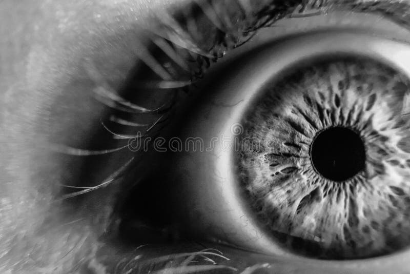 Grayscale Photo Of Human Eye Stock Photo - Image of iris, monochrome ...