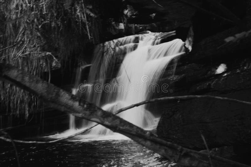 Grayscale Photography of a Strong Running Waterfall in a Forest Stock ...