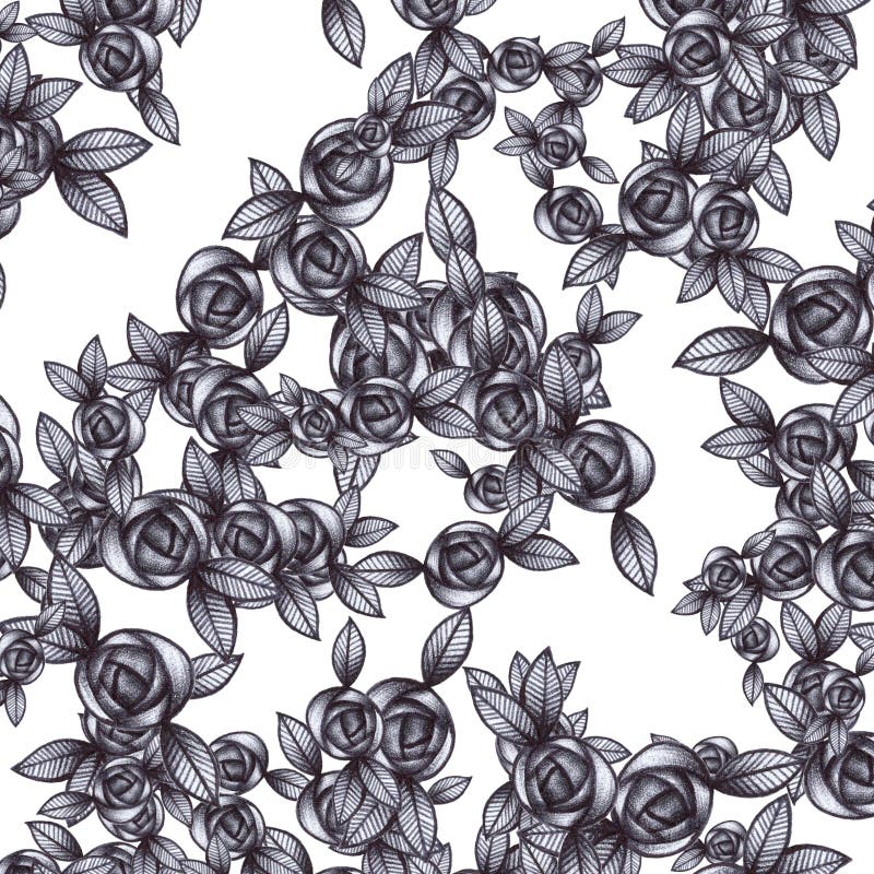 Grayscale Roses Pattern with Leaves on White Isolated Background ...