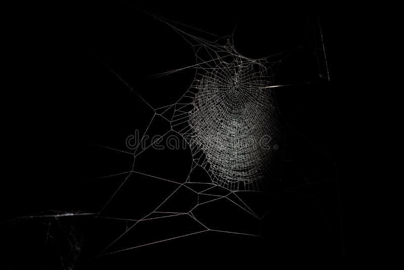 Grayscale Shot of an Abstract Spider Web on Black Background Stock ...