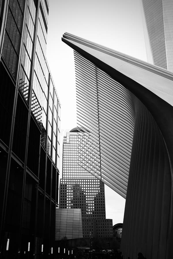 Grayscale Shot of Beautiful Modern Architectural Buildings in the City ...