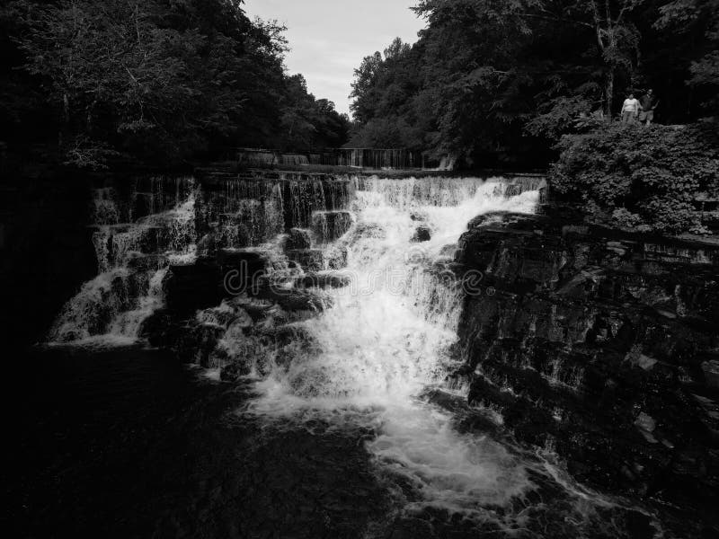 Grayscale Shot of a Beautiful Waterfall Surrounded by Trees Stock Image ...