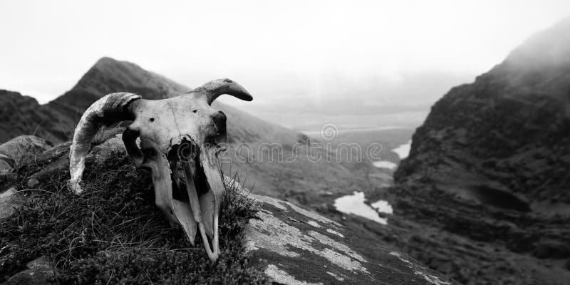 Grayscale Shot of Dusty Mountains with a Skull in the Foreground. Stock ...