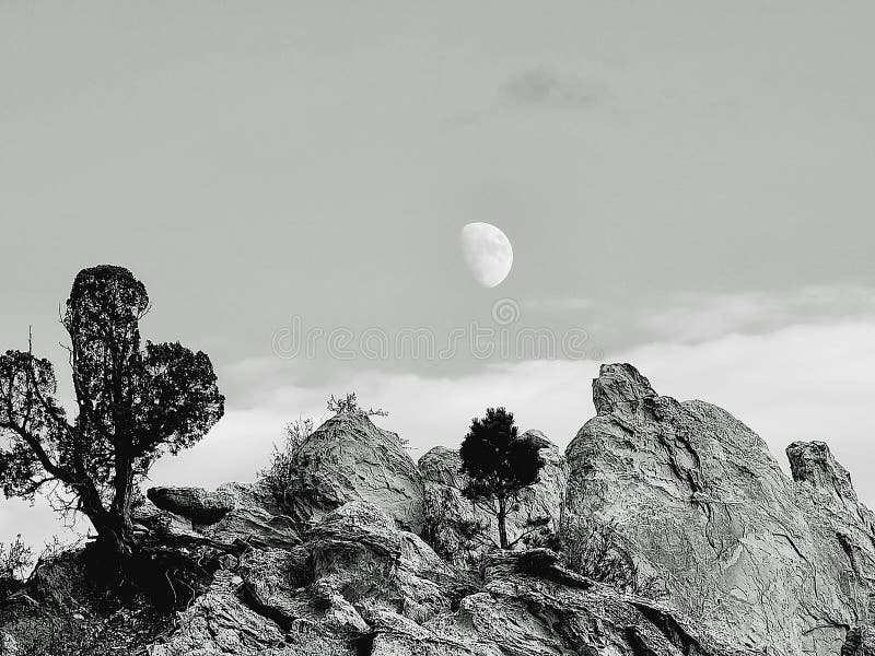 Grayscale Shot of a Half Full Moon in the Sky Over Rocky Mountains ...