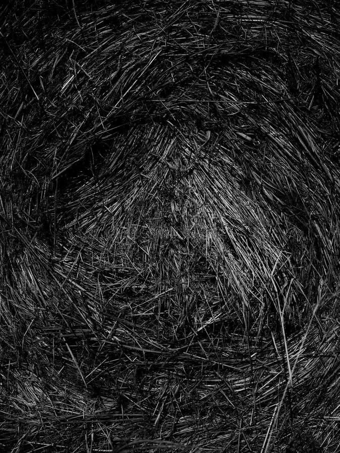 Haystack Texture Background Stock Photo - Image of summer, background ...