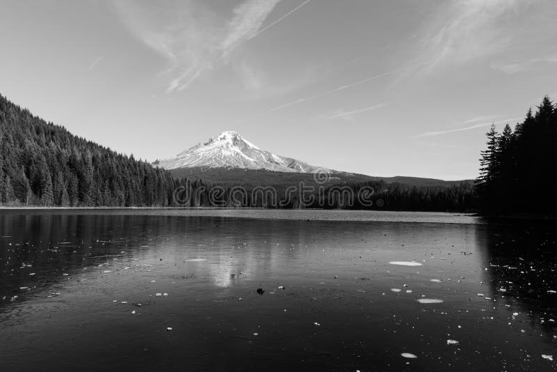 Grayscale Shot of Mt Hood National Forest Stock Image - Image of ...