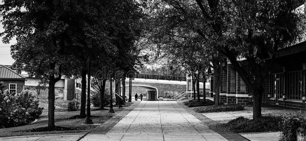 Grayscale Shot of a Paved Walkway Lined with Trees at a Complex Stock ...