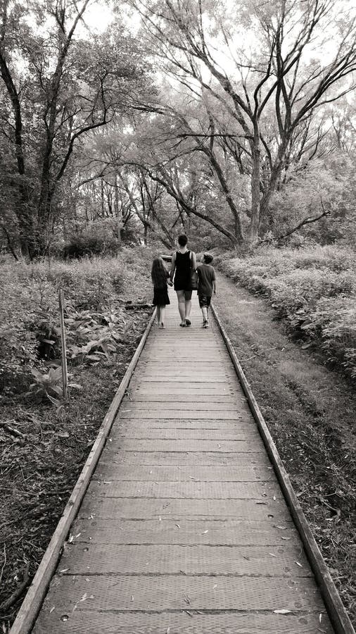 Grayscale Shot of People Walking on a Long Path Stock Image - Image of ...