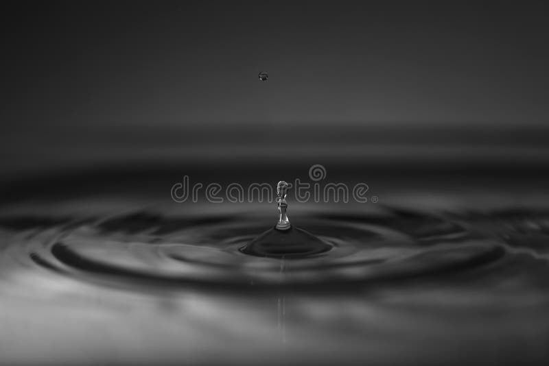 Grayscale Shot Small Water Drop Falling Surface Stock Photos - Free ...