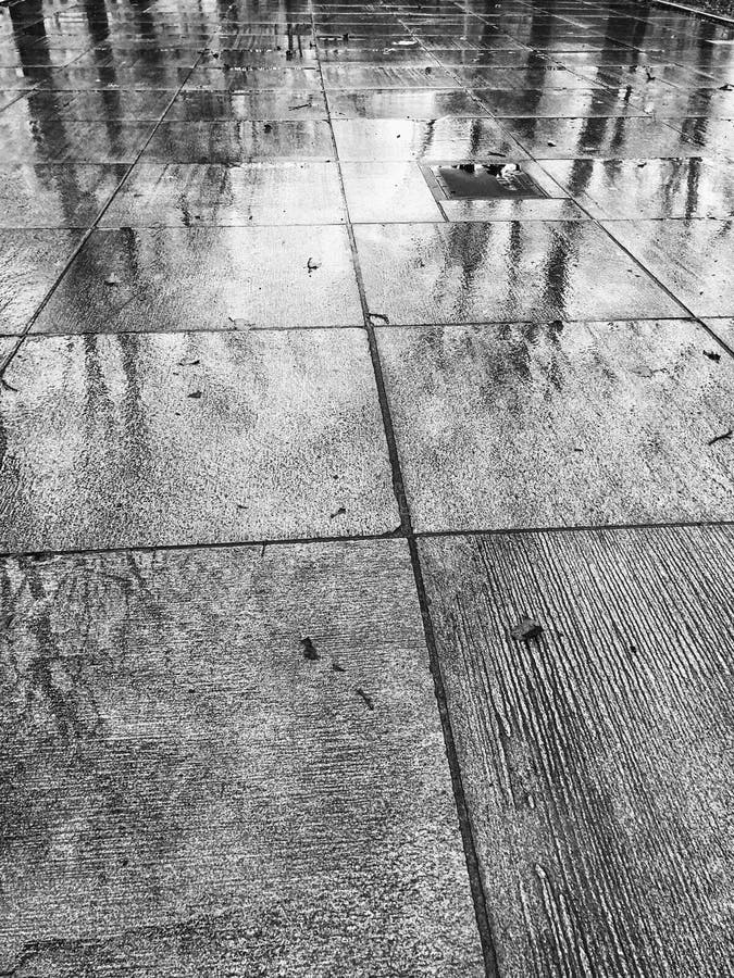 Grayscale Shot of a Street Stone Pavement Wet Surface after the Rain ...