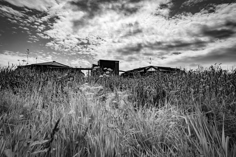 Grayscale Shot of the Top of Generic Farm Buildings through Meadow ...