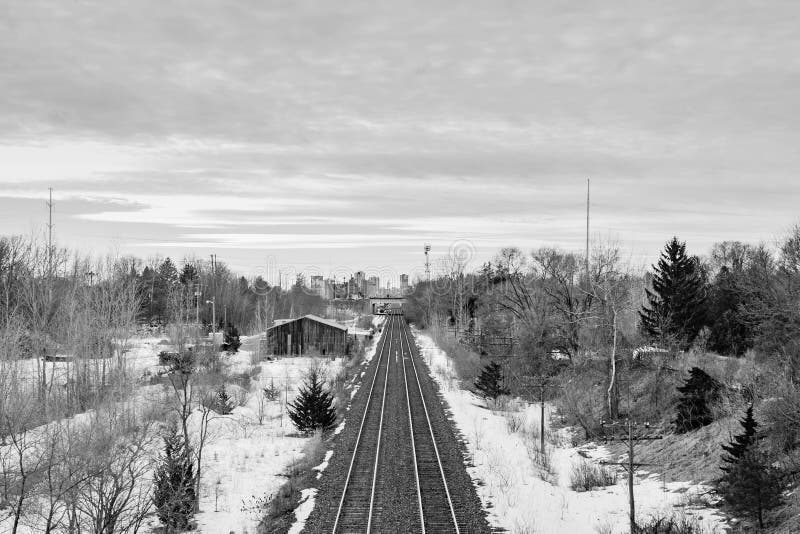 Grayscale Shot of Train Tracks in the Middle of Trees Under a Cloudy ...