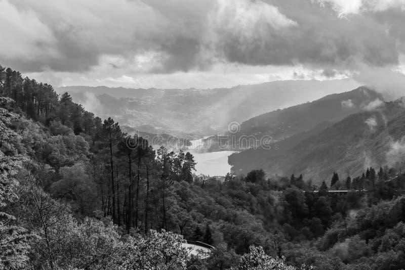 Grayscale Shot of a Winter Scene of a Frozen Forest and a River through ...