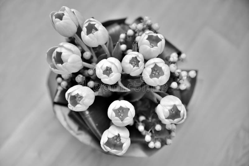 Grayscale Top View of Tulips on the Ground Stock Photo - Image of ...
