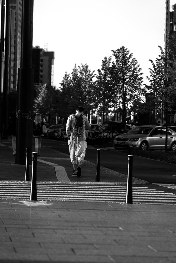 Vertical Back View of Girl in a Swimsuit Standing Next To a Palm Tree ...