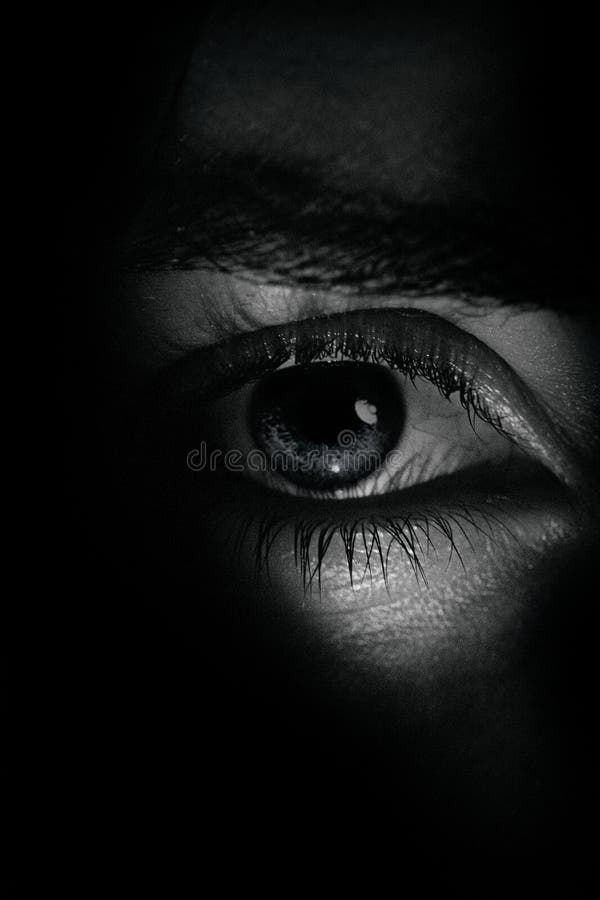 Grayscale Vertical Closeup Shot of a Human Eye Stock Image - Image of ...