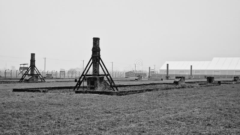 Grayscale View of Structures at the Auschwitz Concentration Camp in ...