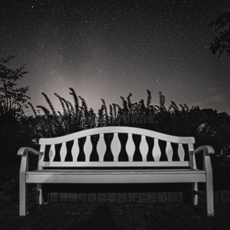 Grayscale View of a White Decorative Bench before the Plants Under the ...