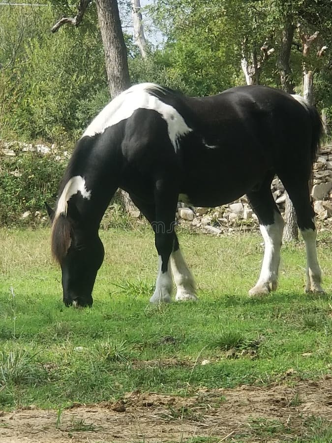 Gypsy statue stock image. Image of fashion, gypsies, nice - 57413075