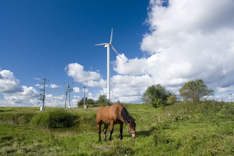 Horses and wind turbines stock image. Image of wind, agricultural - 5165043