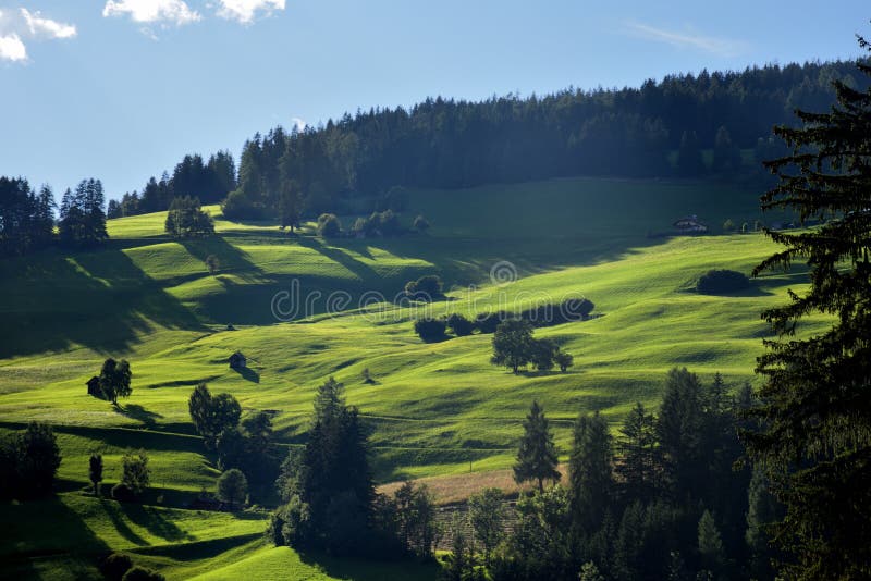 Grazing light on the lawns stock image. Image of lights - 230055319