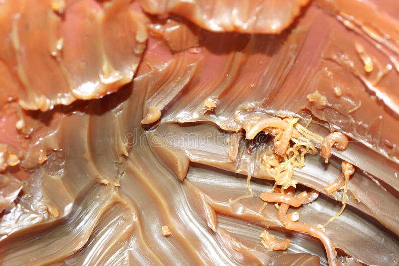 Grease used in industry stock image. Image of engine - 209032749