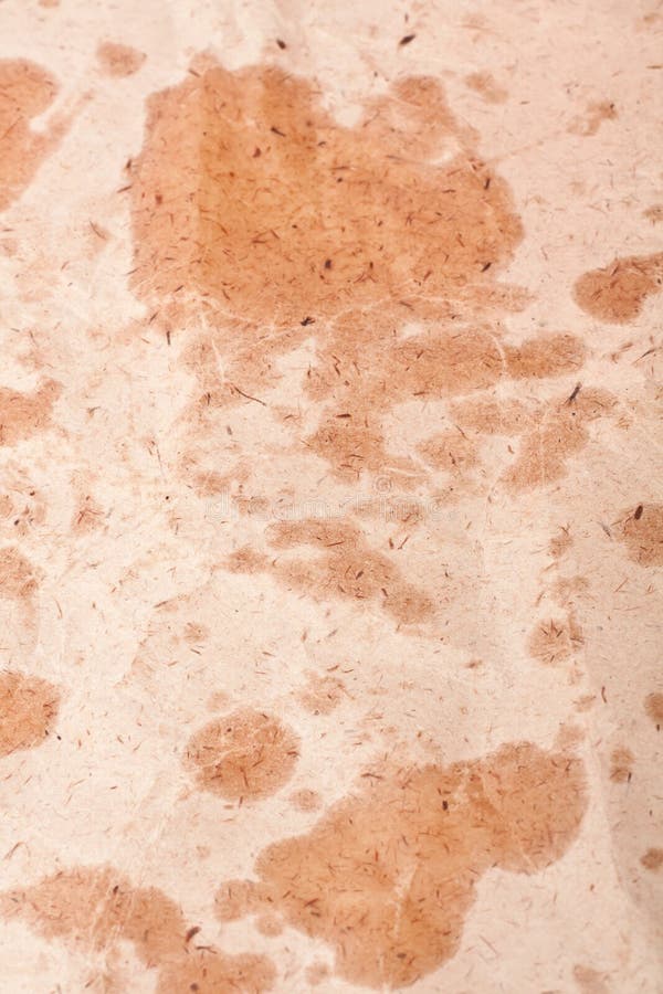 Greasy Cardboard Background Stock Image - Image of crumpled, pattern ...