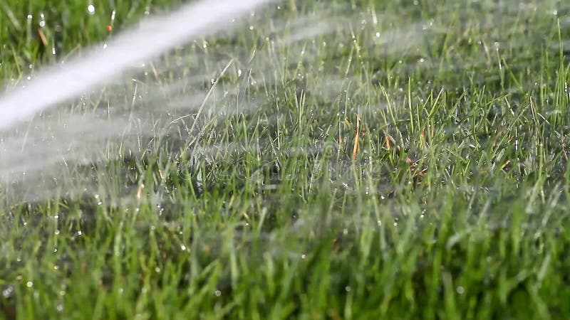 Greasy Grass WATERING BACKGROUND Stock Video - Video of greasy, move ...