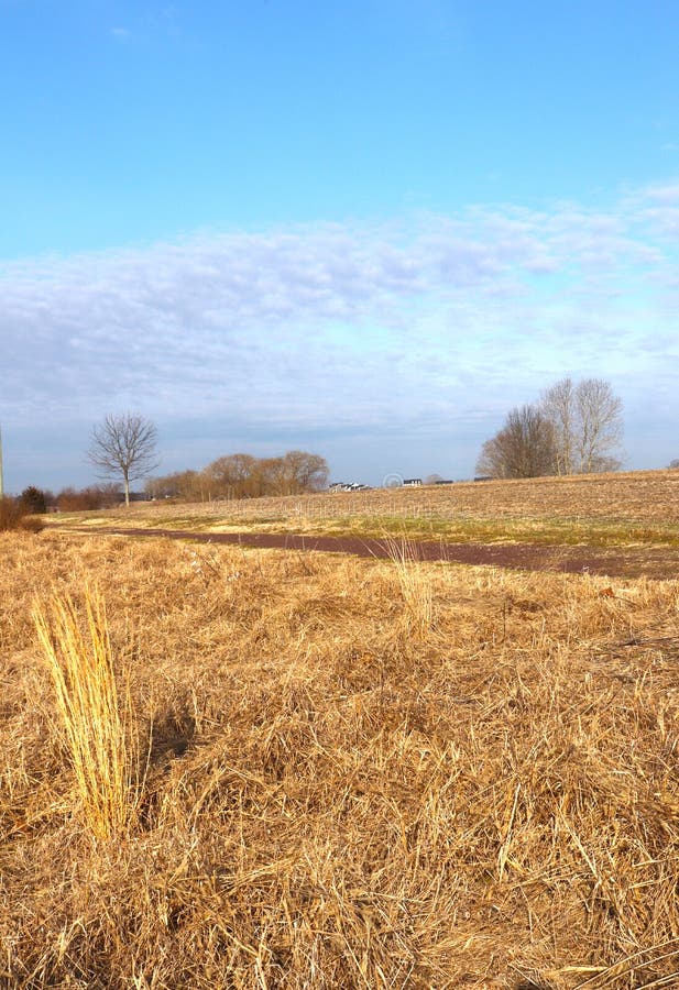 Nature Arranged a Scene of Sky, Golden Farm, and Artistically Placed ...