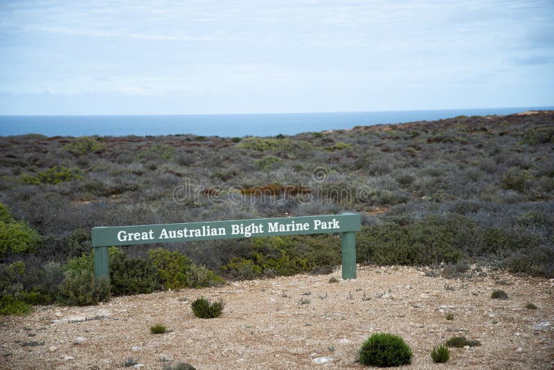 Great Australian Bight stock photo. Image of green, south - 264735946