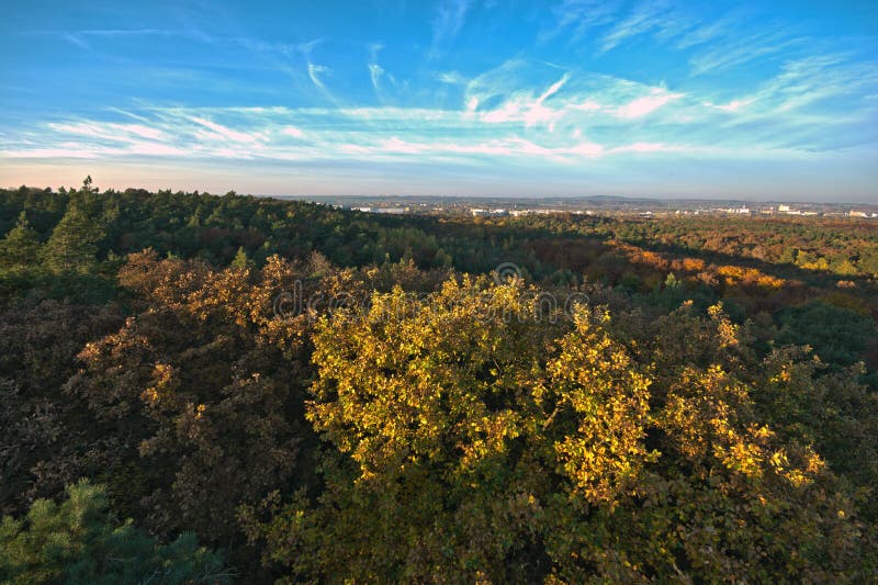Great Autumnal Forest Image With Beautiful Sky Stock Photo - Image of ...