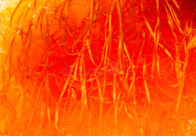 Great Backdrop and Backgrounds Textures in .abstract Form Stock Photo ...